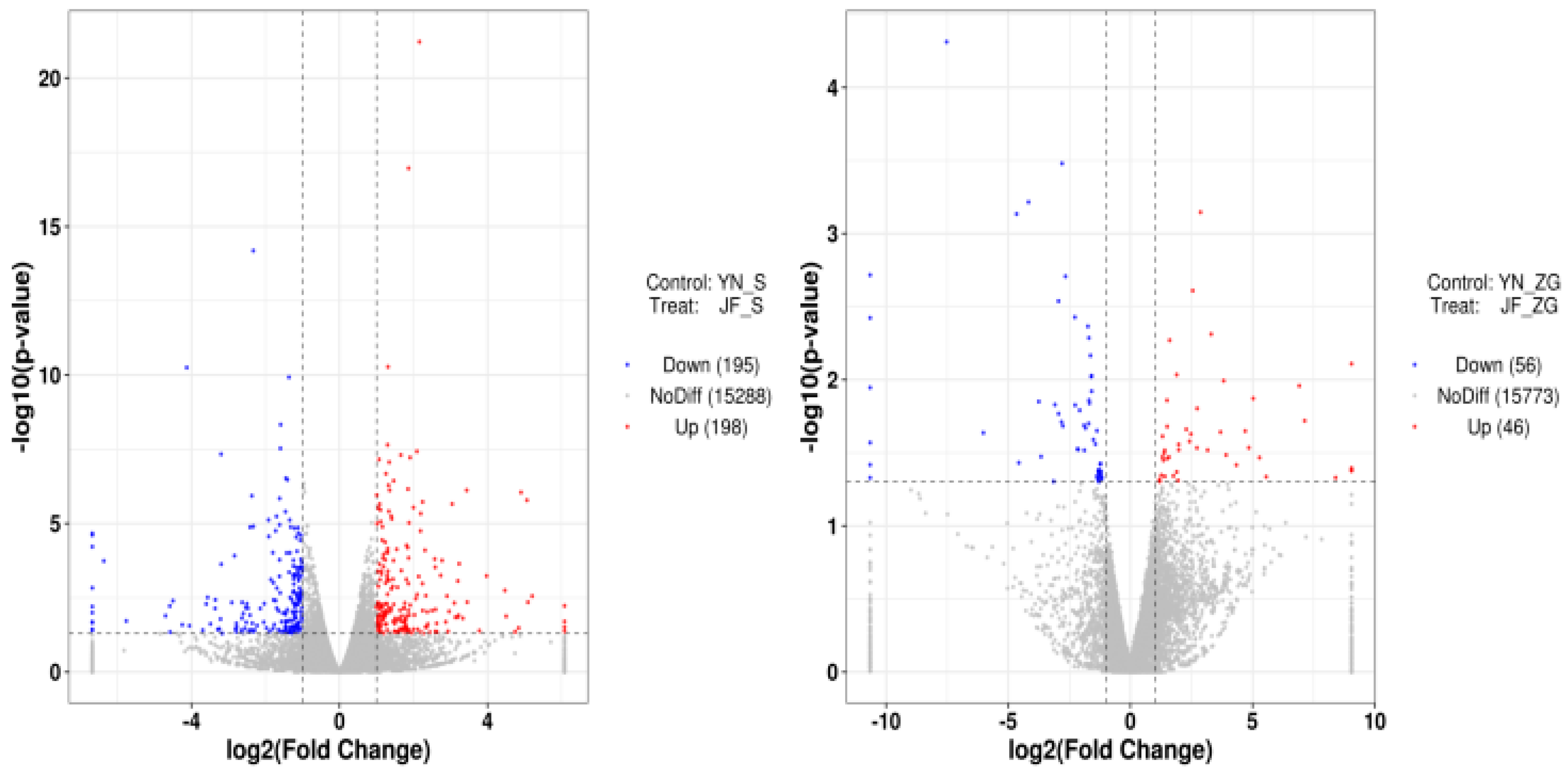 Eggshell Quality Traits and Transcriptome Gene Screening Between Yunnong and Jingfen Chicken Breeds