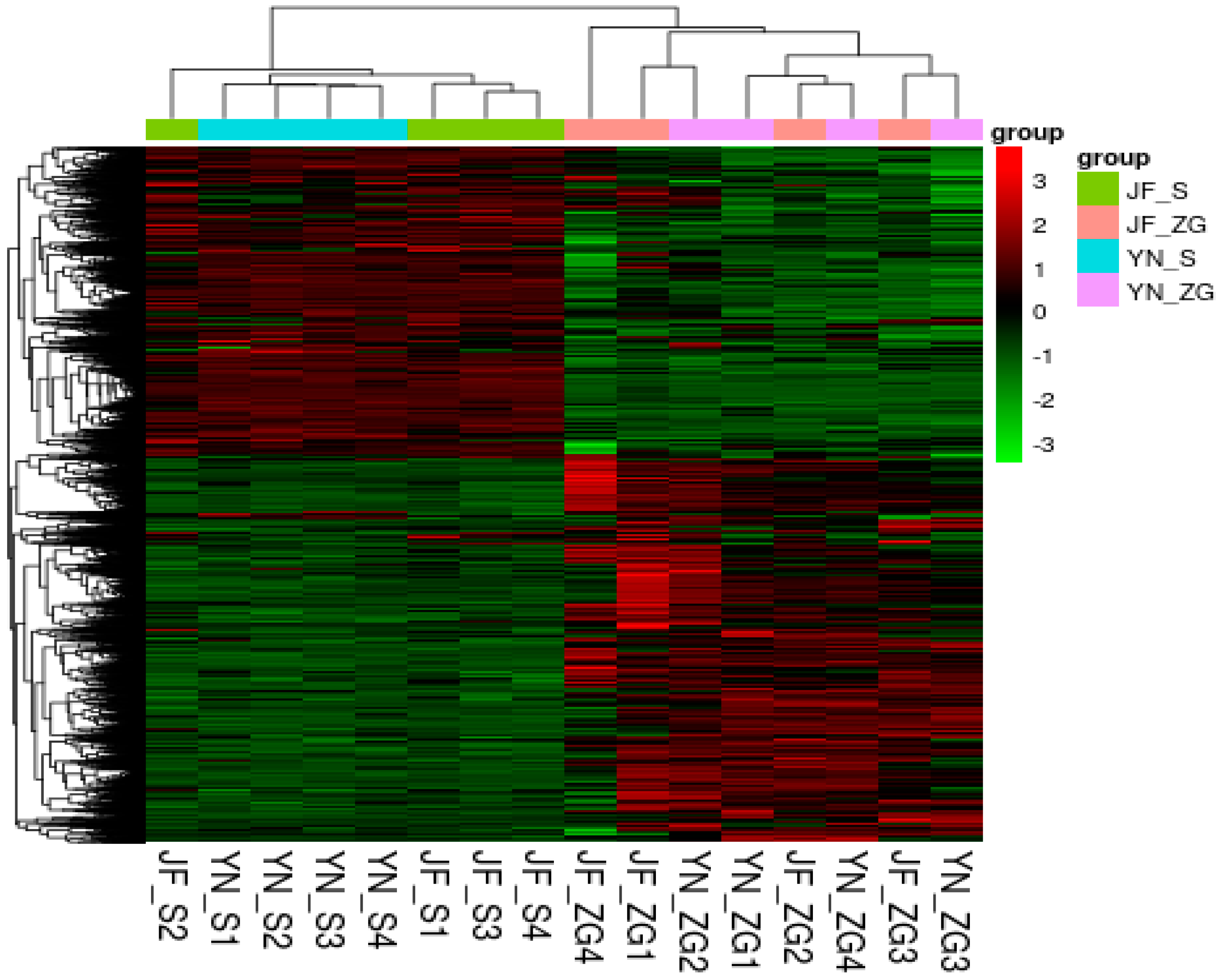 Eggshell Quality Traits and Transcriptome Gene Screening Between Yunnong and Jingfen Chicken Breeds