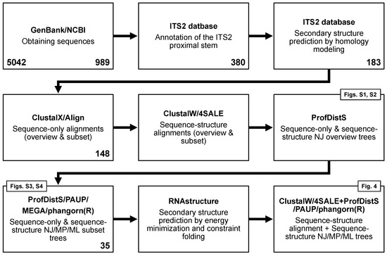 ITS2 rRNA Gene Sequence–Structure Phylogeny of the Chytridiomycota ...