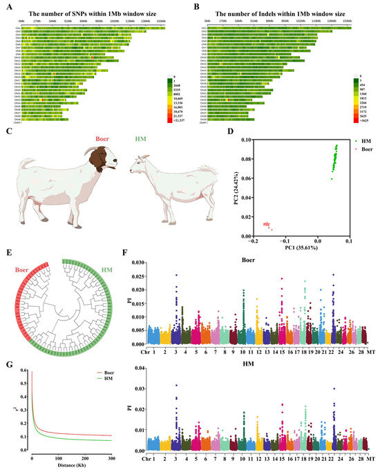 Genome-Wide Scans for Selection Signatures in Haimen Goats Reveal ...