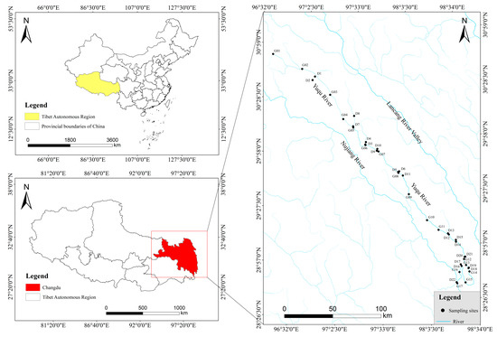 Seasonal Variations in Macrobenthos Communities and Their Relationship ...