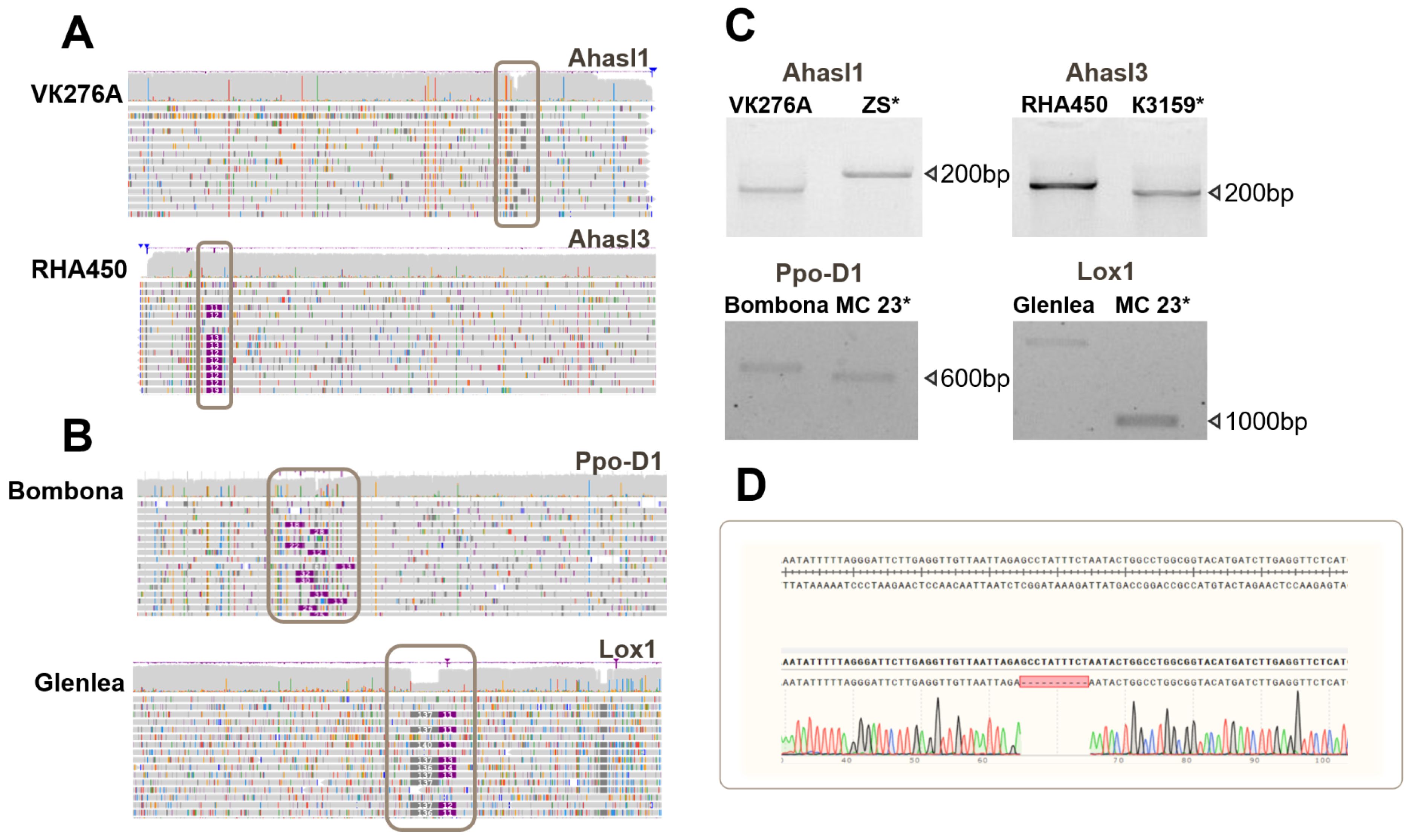 Cost-Effective Detection of SNPs and Structural Variations in Full-Length Genes of Wheat and ...