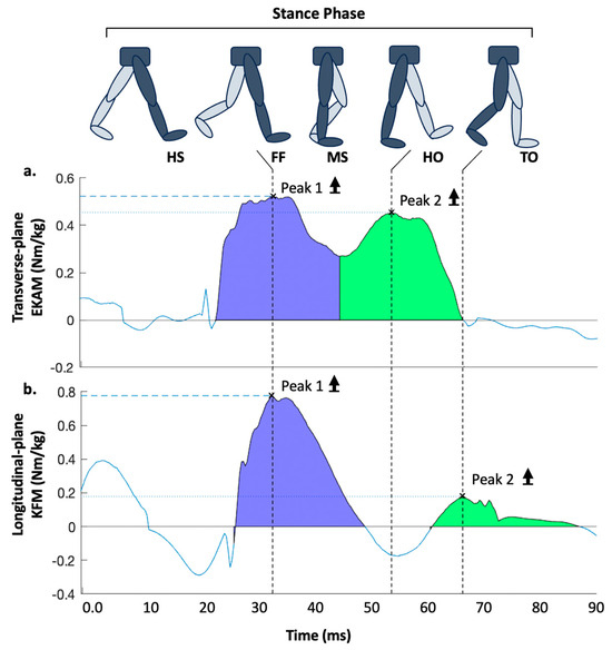 Gait Asymmetry and Post-Traumatic Osteoarthritis Following Anterior ...