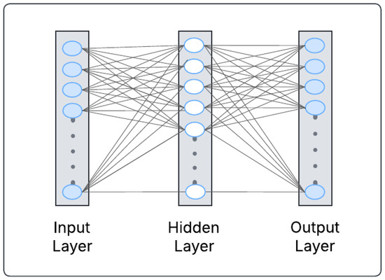 Objective Pain Assessment Using Deep Learning Through EEG-Based Brain–Computer Interfaces
