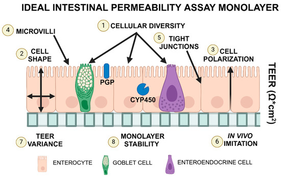 A Preclinical Model to Assess Intestinal Barrier Integrity Using Canine ...