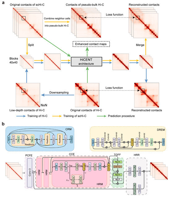 Enhancing Single-Cell and Bulk Hi-C Data Using a Generative Transformer Model