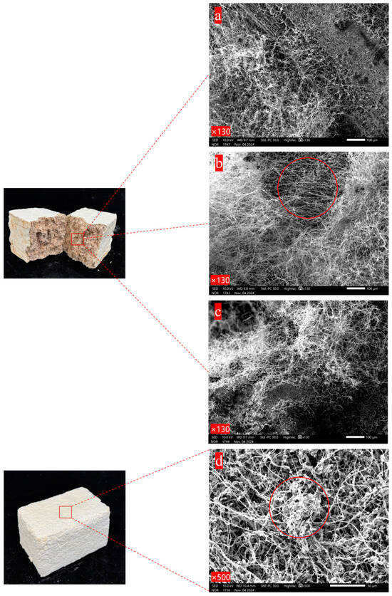 The Influences of Different Mixing Methods for Fungi and Substrates on ...