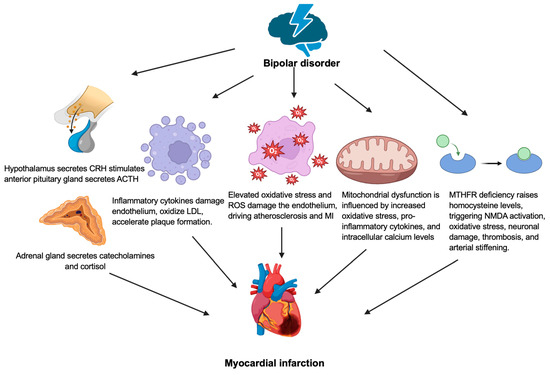 Pathophysiological Links Between Myocardial Infarction and Anxiety ...