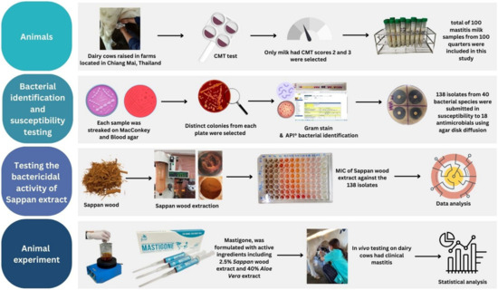 Agar Petri Hardy Diagnostics Bovine Blood Agar Plates (10-Pack ...