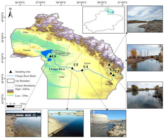 A Study on the Community and Ecological Characteristics of Benthic ...