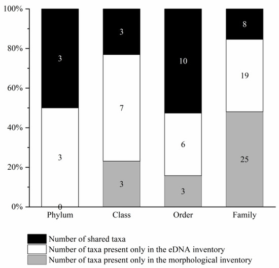 A Study on the Community and Ecological Characteristics of Benthic ...