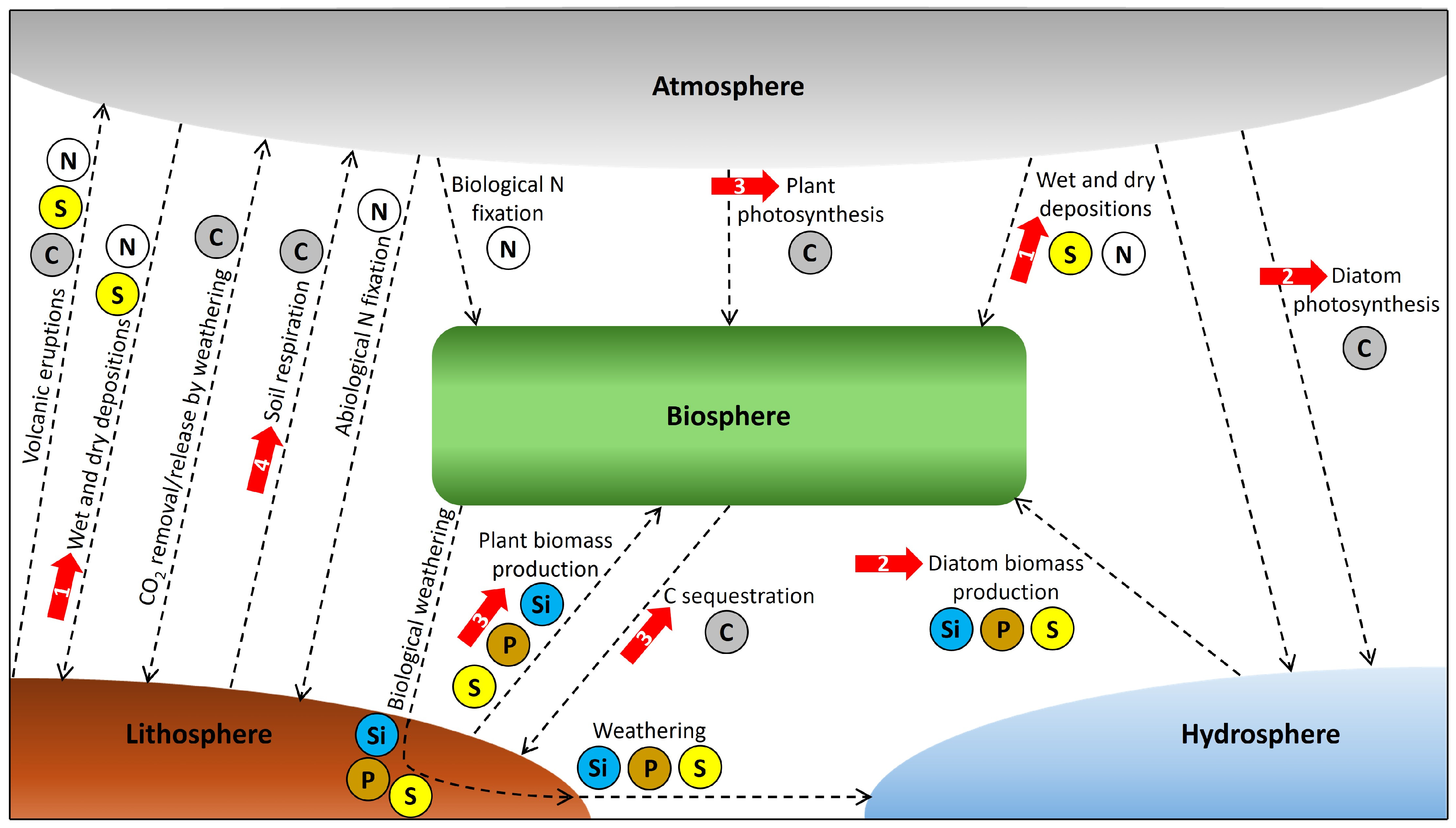 Biogeochemical Cycles in Plant–Soil Systems: Significance for ...