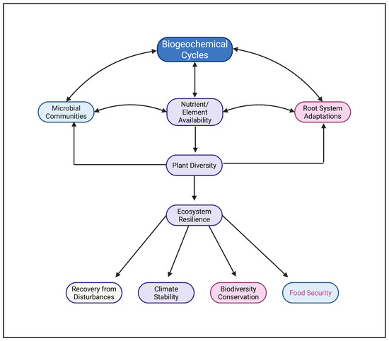 Biogeochemical Cycles in Plant–Soil Systems: Significance for ...