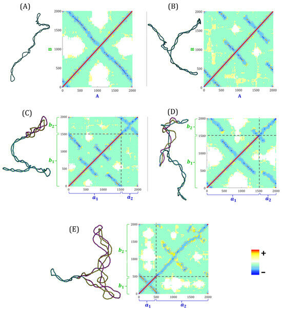 New Insights into the Geometry and Topology of DNA Replication ...