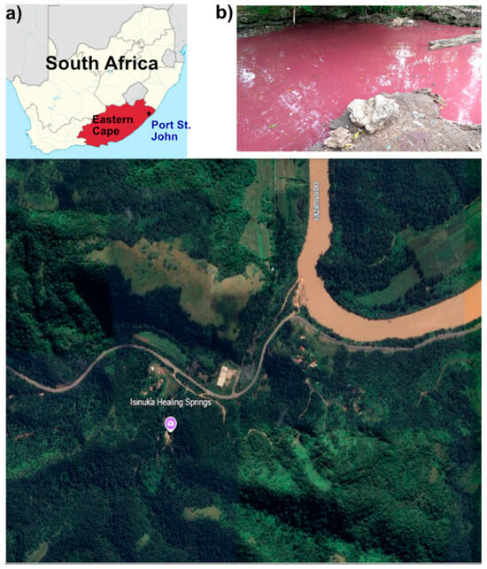 Thiocapsa, Lutimaribacter, and Delftia Are Major Bacterial Taxa ...