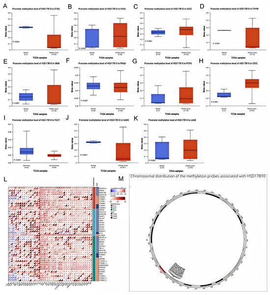 Multi-Omics Pan-Cancer Profiling of HSD17B10 Unveils Its Prognostic ...