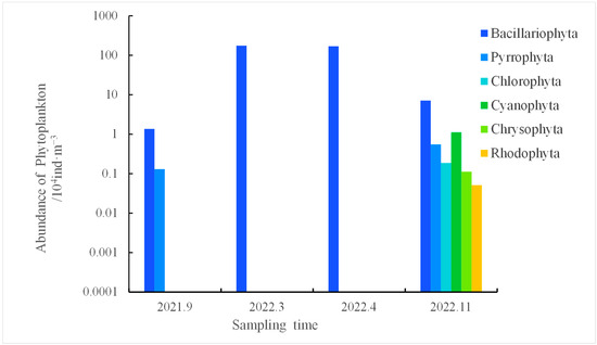 Phytoplankton Structure and Ecological Niche Differentiation of ...
