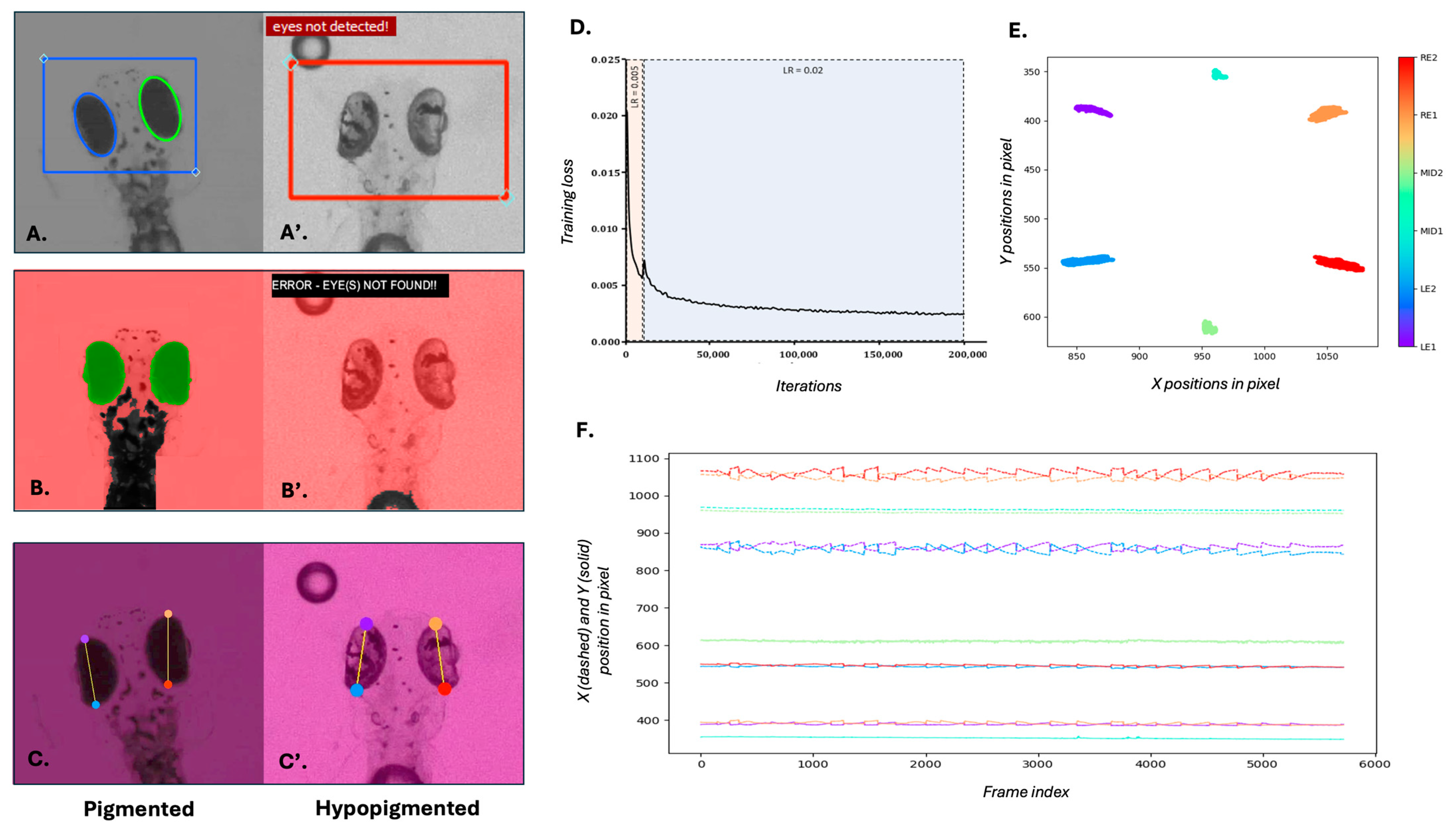 A Deep Learning Approach to Measure Visual Function in Zebrafish