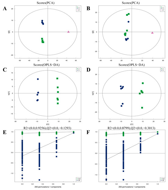 Molecular Adaptations and Quality Enhancements in a Hybrid ...