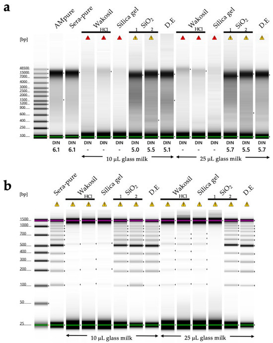 DNA Specimen Preservation Using DESS and DNA Extraction in Museum ...