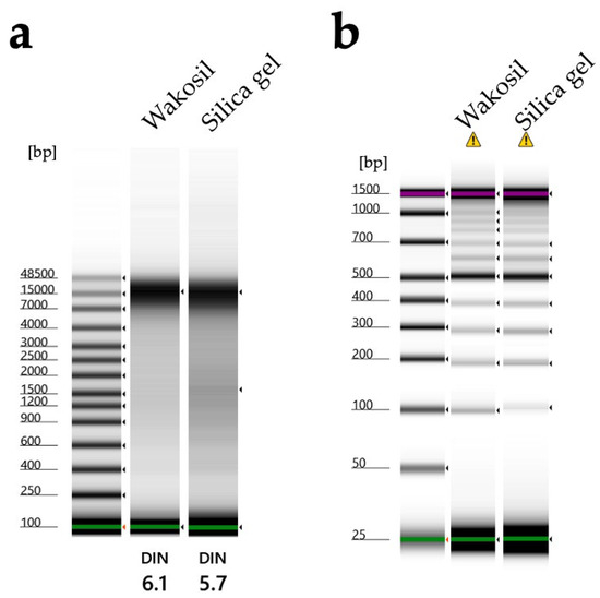 DNA Specimen Preservation Using DESS and DNA Extraction in Museum ...
