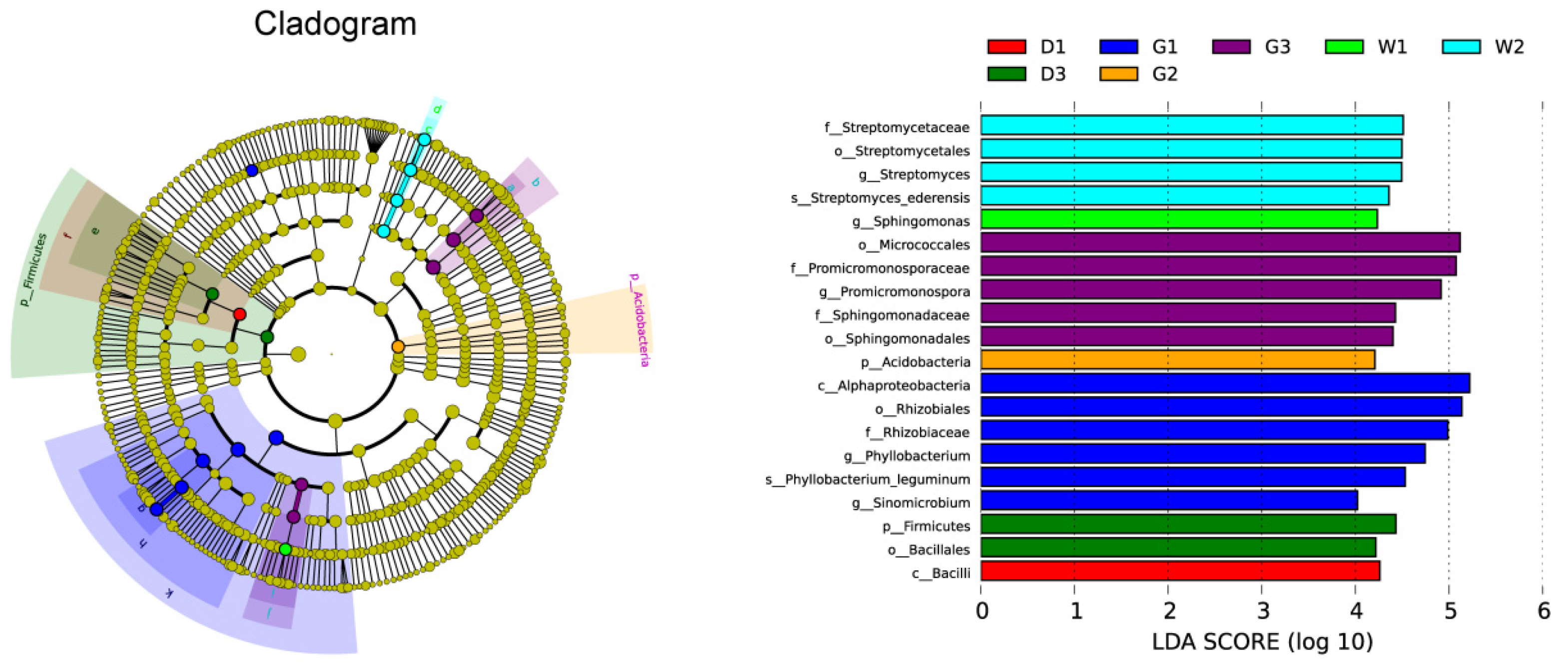 Analysis of Composition, Structure, and Driving Factors of Root-Associated Endophytic Bacterial ...