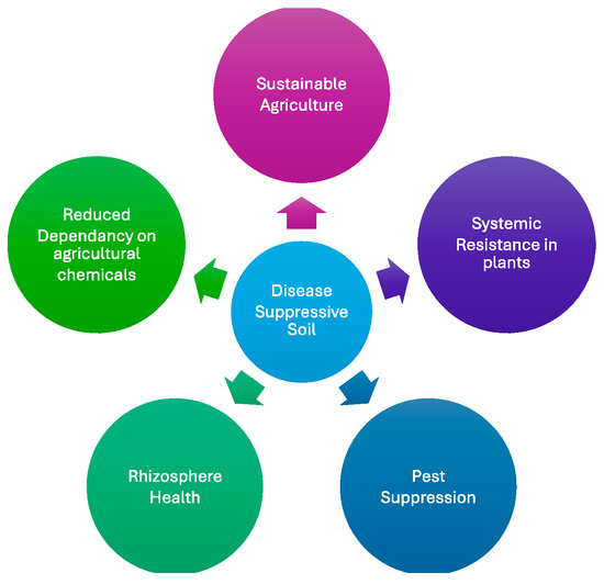 Plant Disease Suppressiveness Enhancement via Soil Health Management