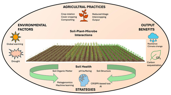 Plant Disease Suppressiveness Enhancement via Soil Health Management