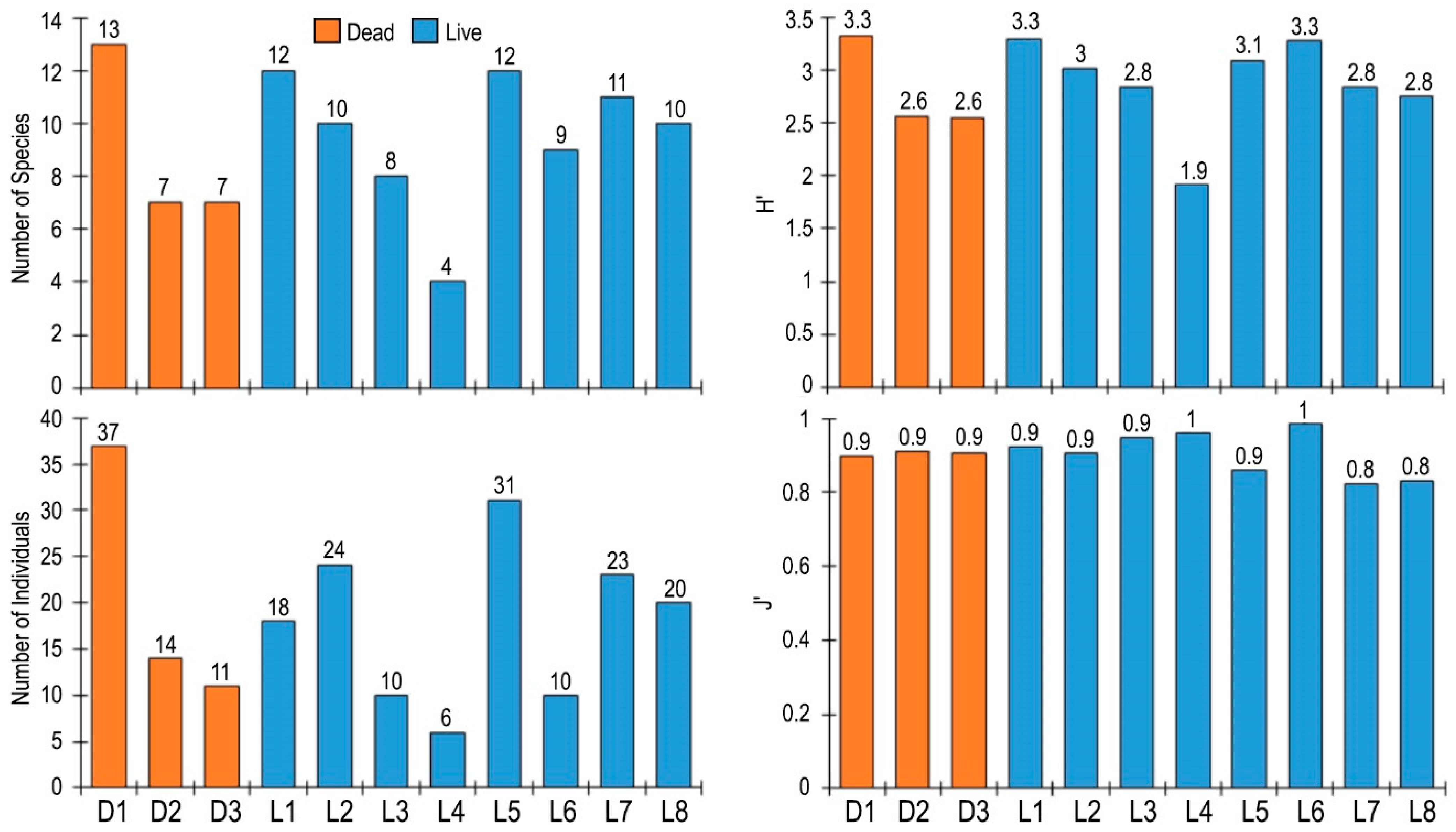 Epifaunal Assemblages of the Fan Mussel Atrina fragilis (Mollusca ...