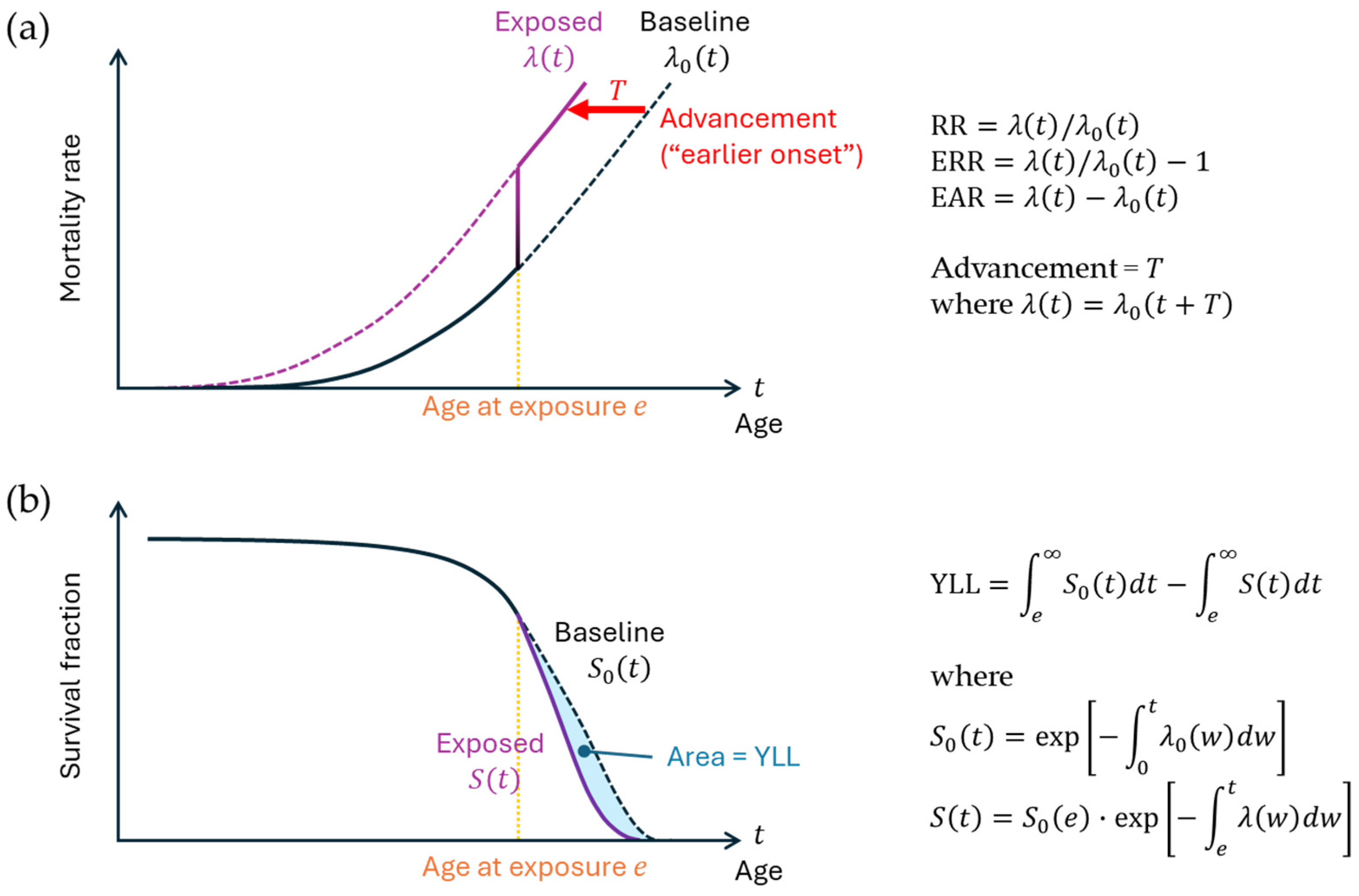Trans-Scale Insights into Variability in Radiation Cancer Risk Across ...