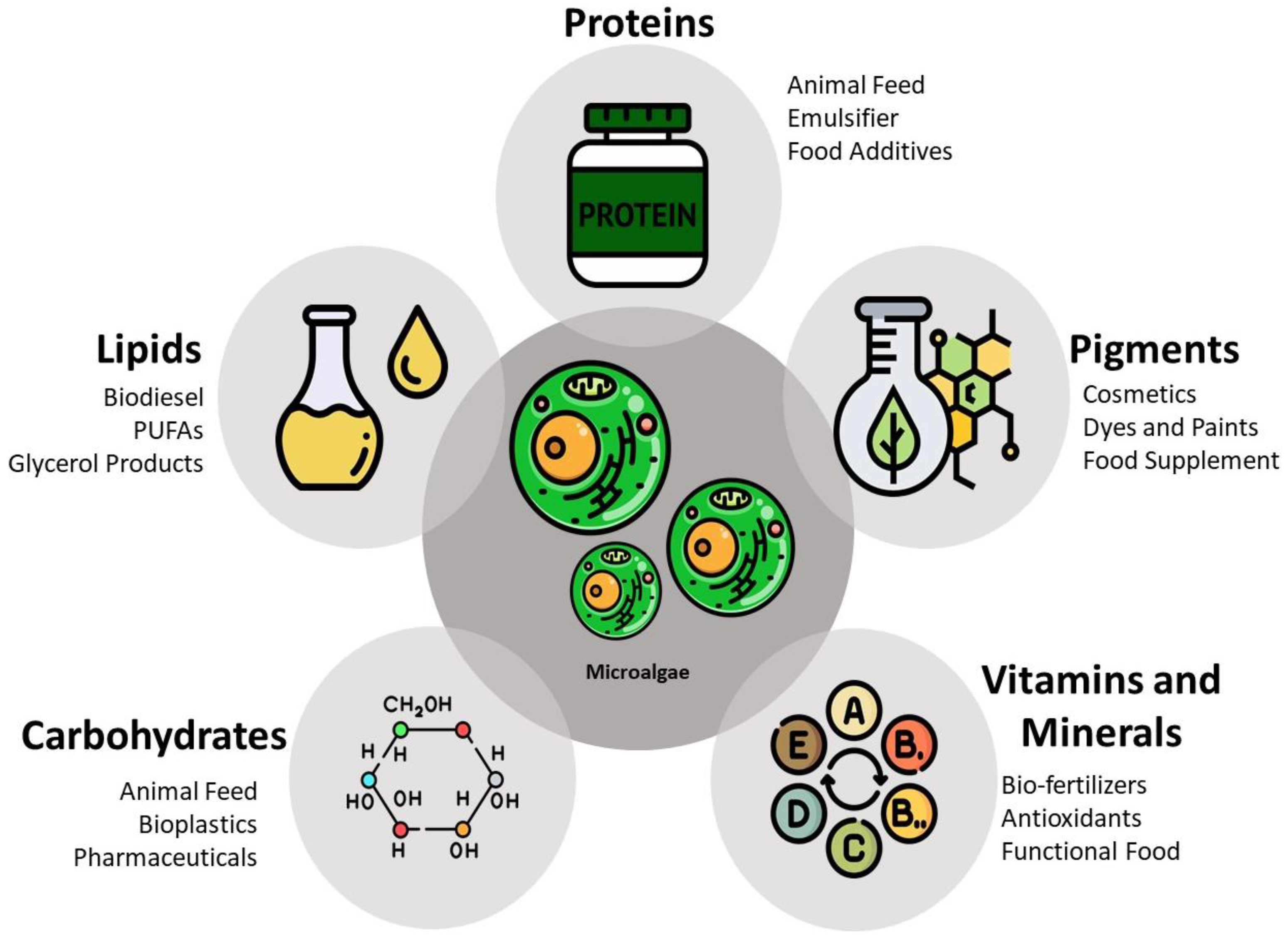 Biomass Free Full Text Effects Of Innovative Processing Methods On