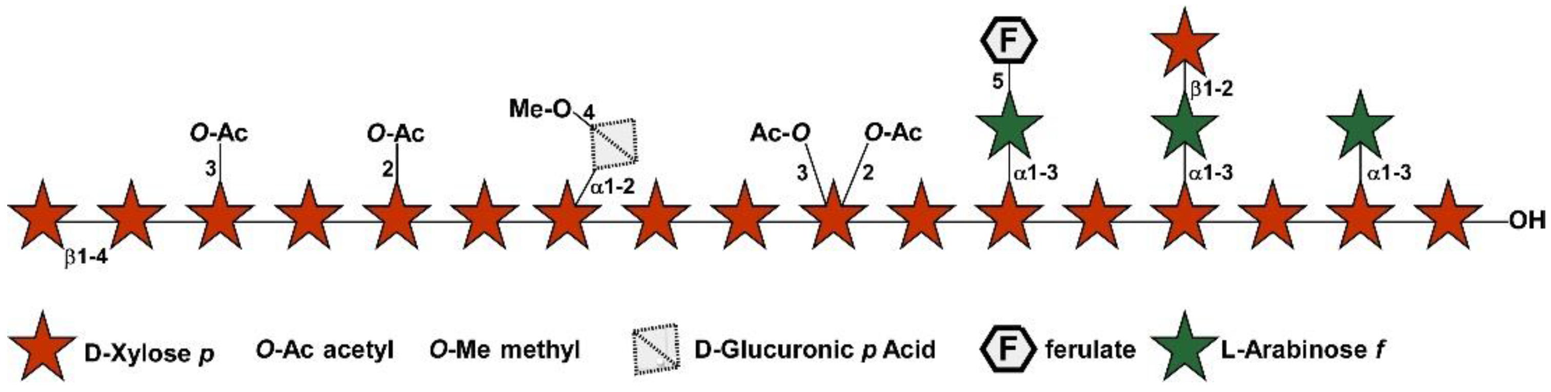 Trafficking of Xylan to Plant Cell Walls