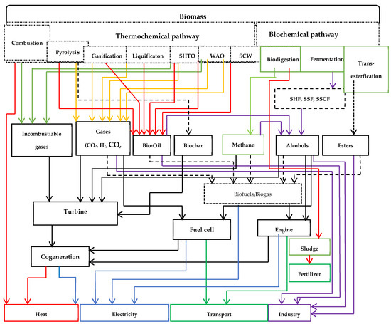 Alternative Energy Potential and Conversion Efficiency of Biomass into ...