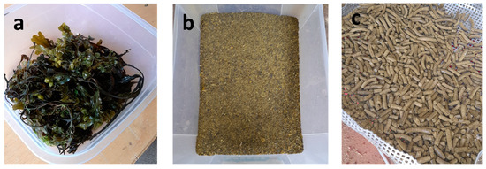 Biomass | Free Full-Text | Seaweed Pellets as a Renewable Fuel Feedstock