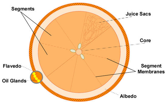 Biomass | Free Full-Text | Orange Peel Waste as a Source of Bioactive ...