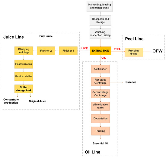 Biomass | Free Full-Text | Orange Peel Waste as a Source of Bioactive ...