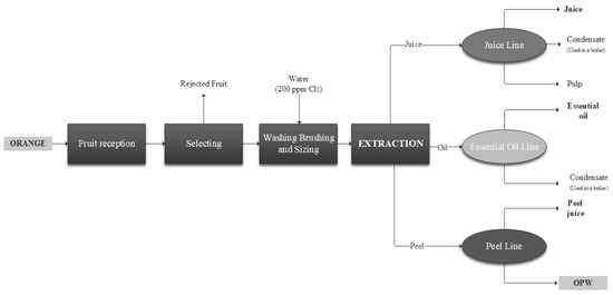 Biomass | Free Full-Text | Orange Peel Waste as a Source of Bioactive ...