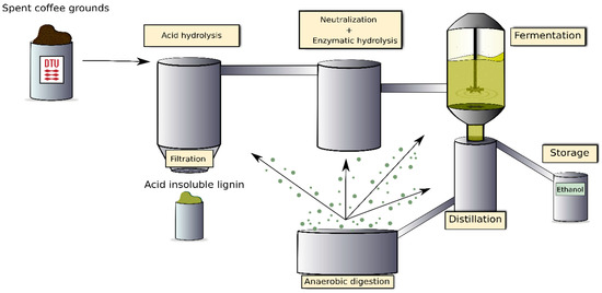 Biomass | Free Full-Text | Toward Circular Economy: Potentials of Spent ...