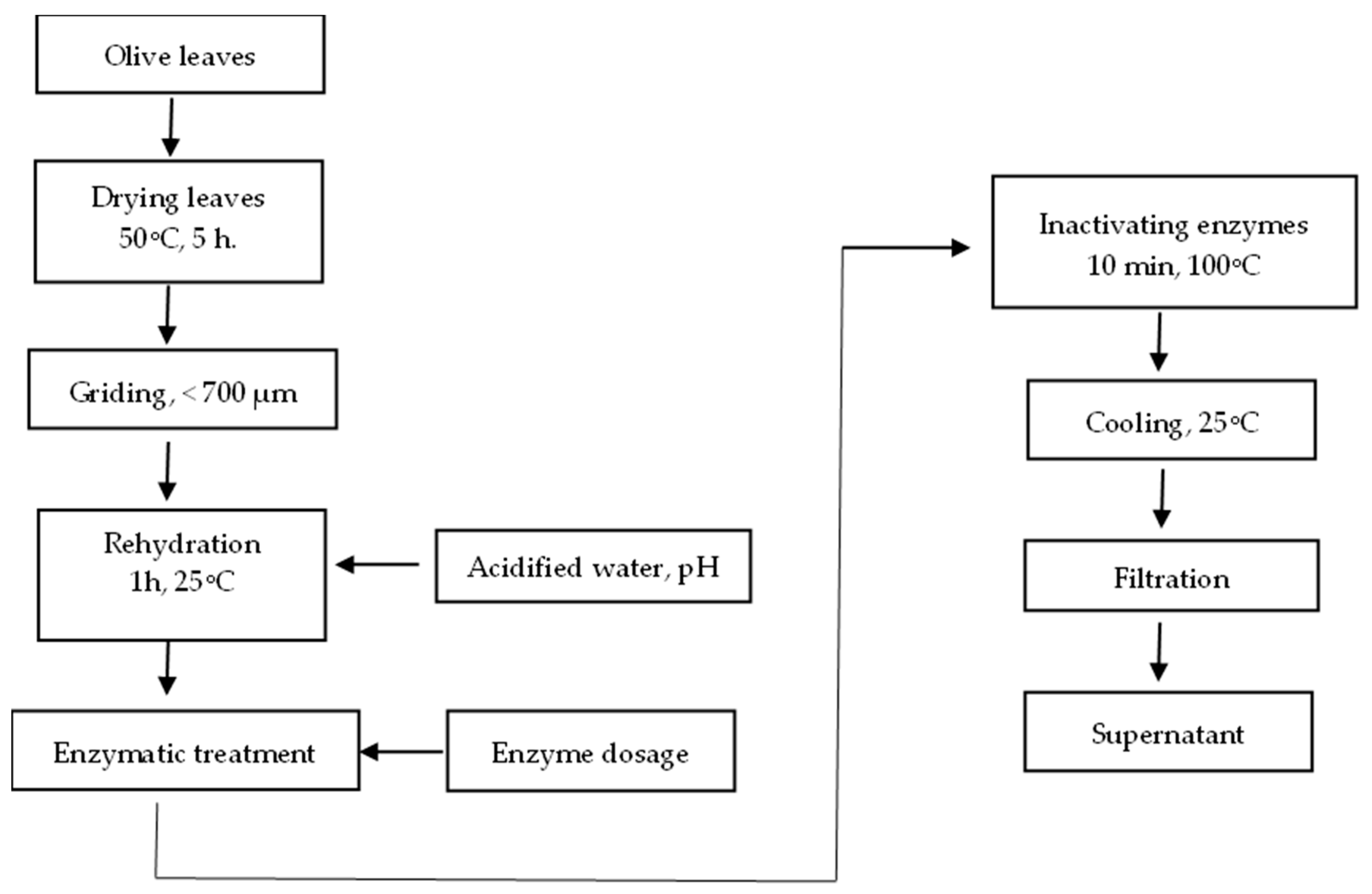 Optimization of Enzymatic Assisted Extraction of Bioactive Compounds from Olea europaea Leaves