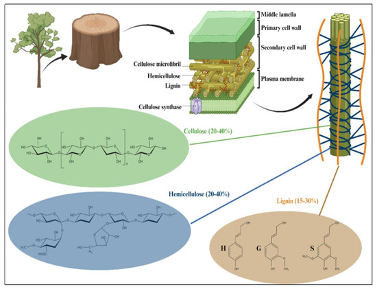 Recent Advances in Characterization and Valorization of Lignin and Its ...
