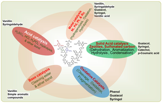 Recent Advances in Characterization and Valorization of Lignin and Its ...