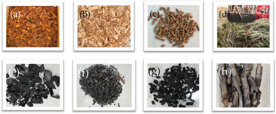 Valorization of Forest Biomass Through Biochar for Static Floating ...