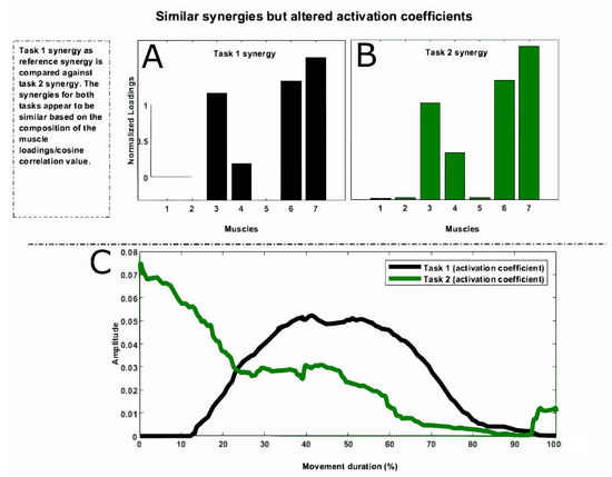 A Perspective on Muscle Synergies and Different Theories Related to ...