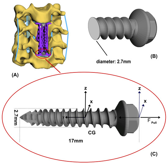 Biomechanics | An Open Access Journal from MDPI