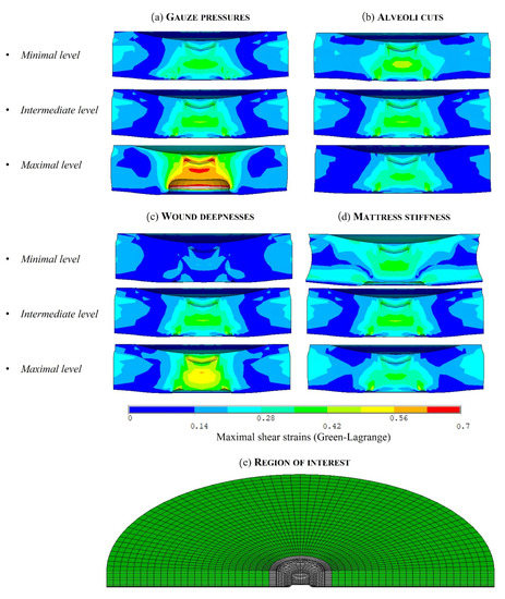 Pressure Ulcers and Dressings: A Strain Sensitivity Analysis of the ...