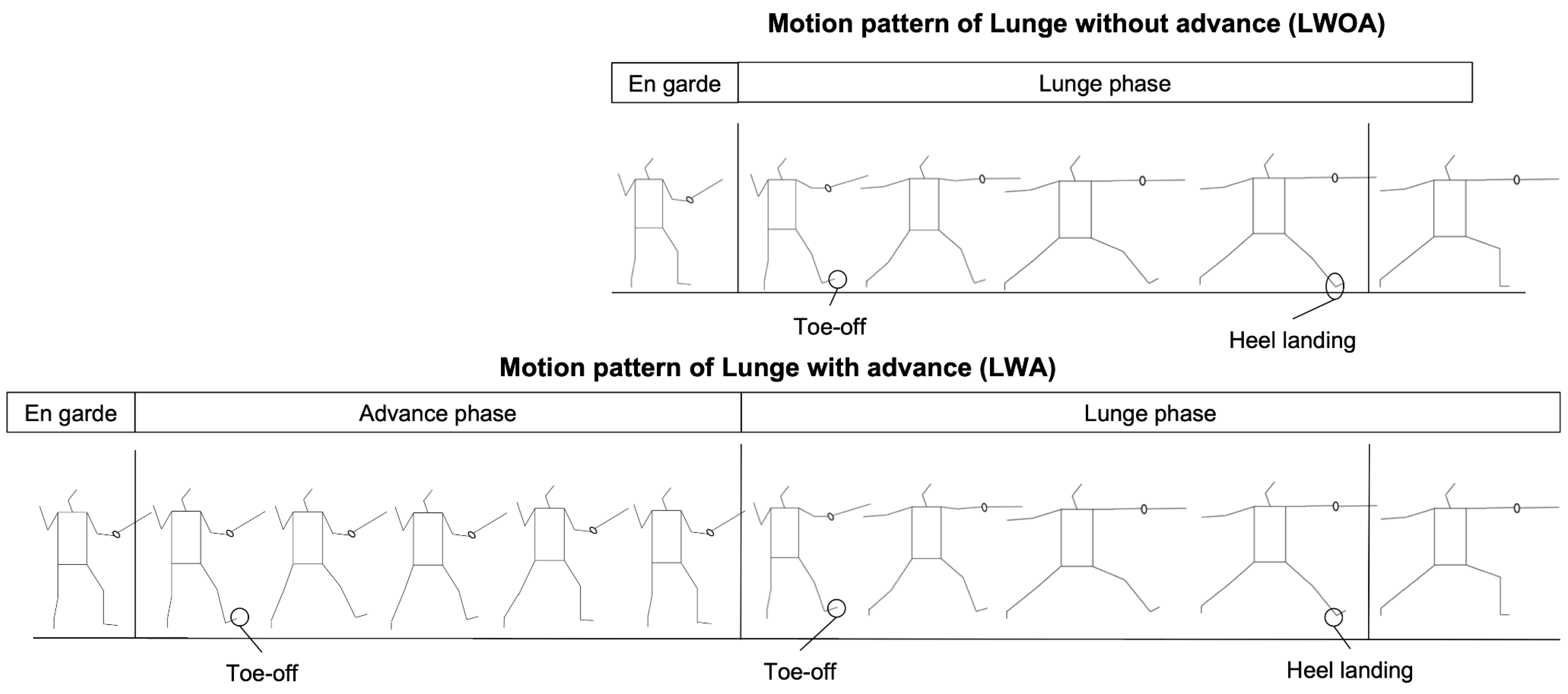 Relationship between Body Center of Mass Velocity and Lower Limb Joint ...