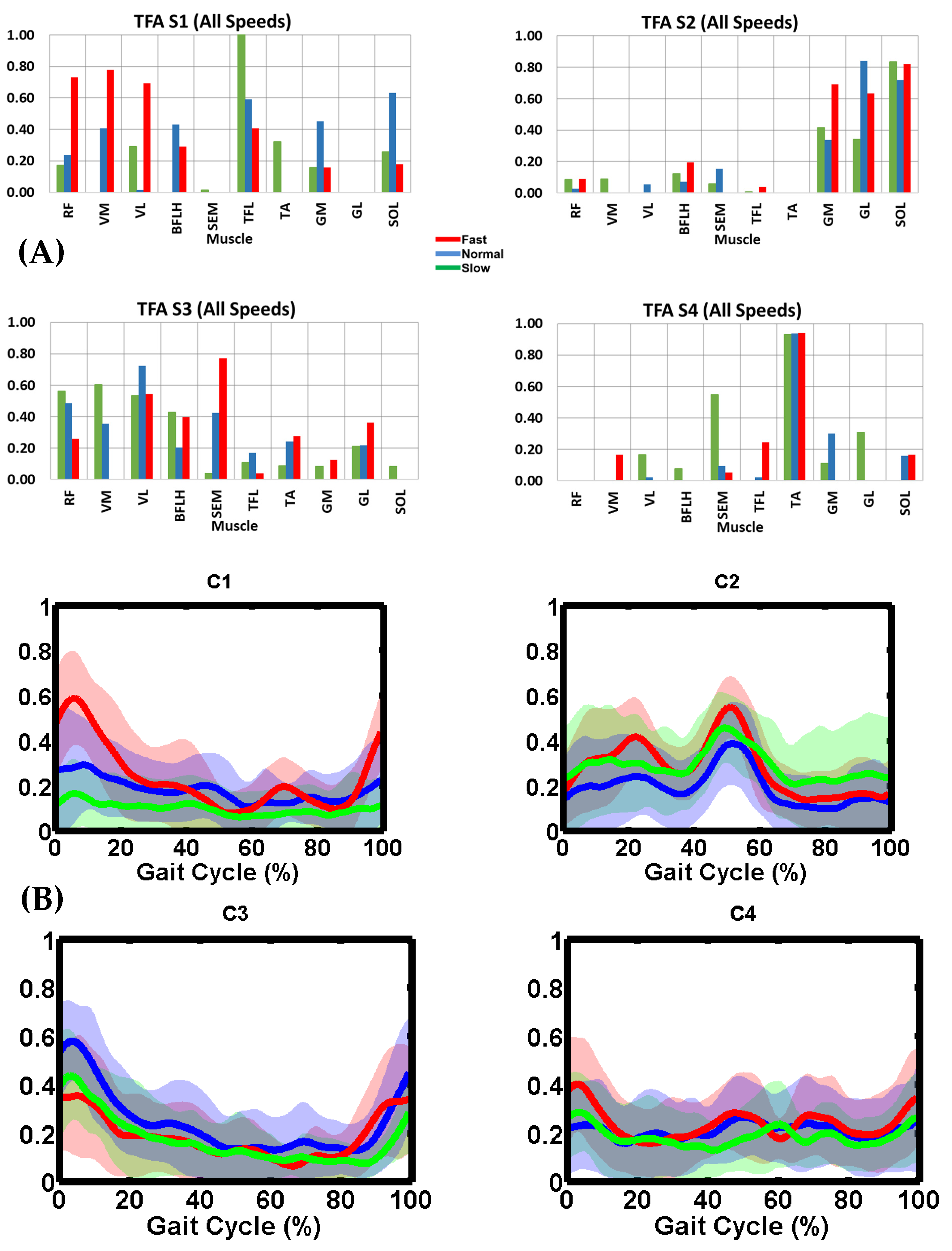 Biomechanics | Free Full-Text | The Impact of Different Self-Selected Walking Speeds on Muscle ...