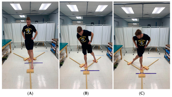 Ankle Stability and Dynamic Single-Leg Balance in Collegiate Jumping ...