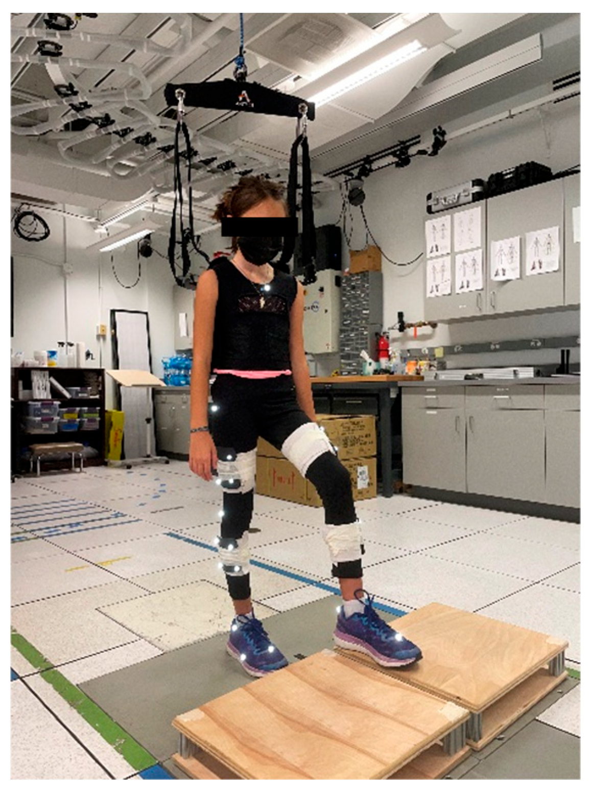 Load Modulation Affects Pediatric Lower Limb Joint Moments During a ...