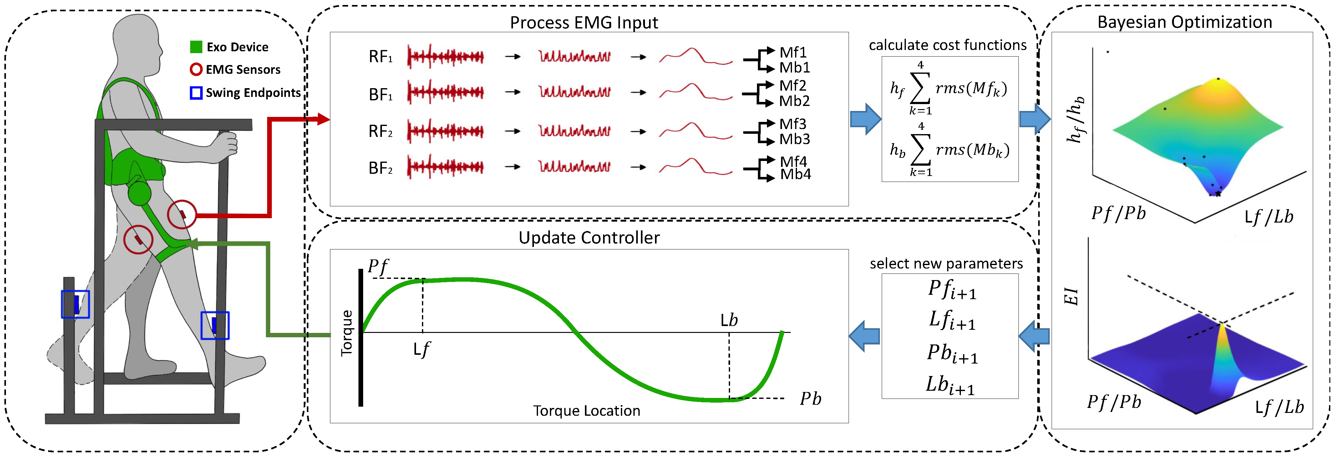 Electromyography-Based Human-in-the-Loop Bayesian Optimization to Assist Free Leg Swinging